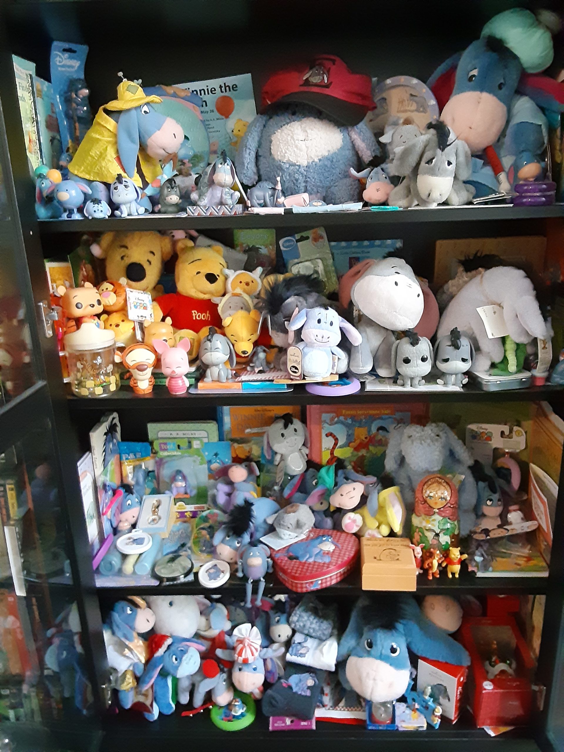 IJ1P: Displaying Your Collections